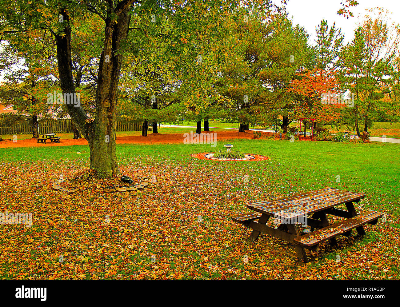 Scenic fall images with foliage in bright fall colors with on iimage by ...