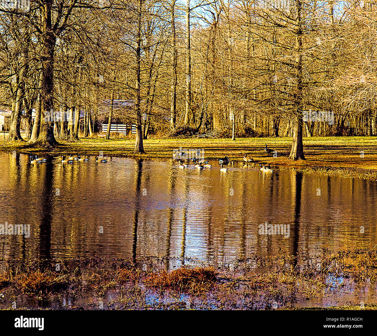 Iimage hi-res stock photography and images - Alamy