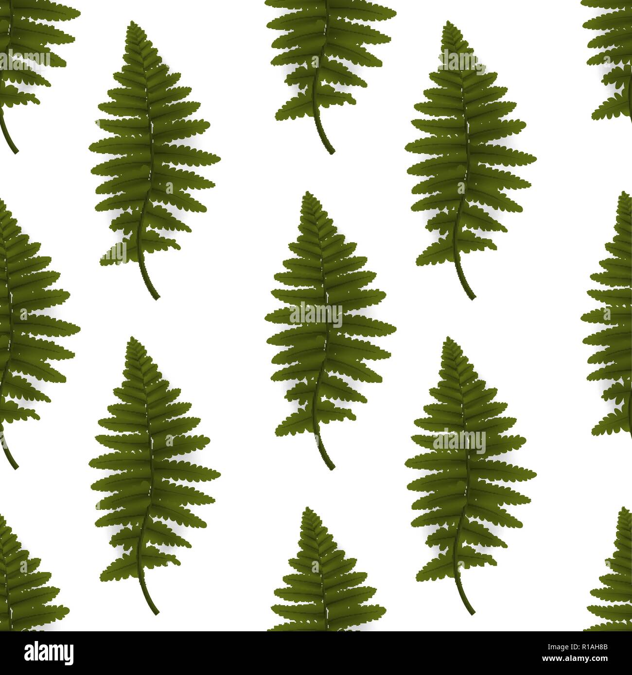 Colorful green twig fern. Vector Illustration Stock Vector Image & Art ...