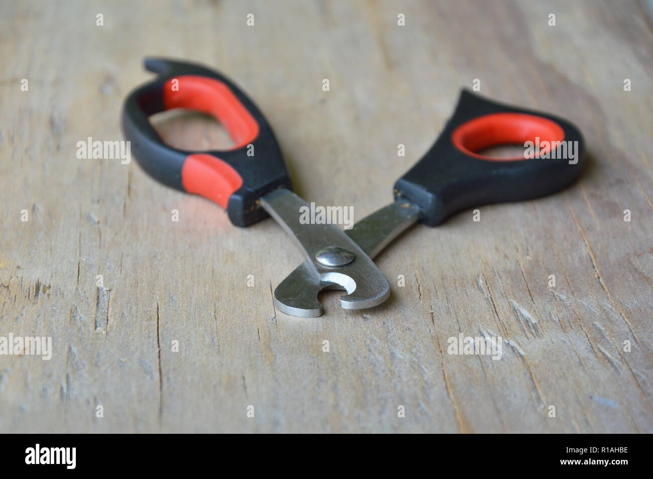 dog and cat nail nipper on wooden board Stock Photo - Alamy
