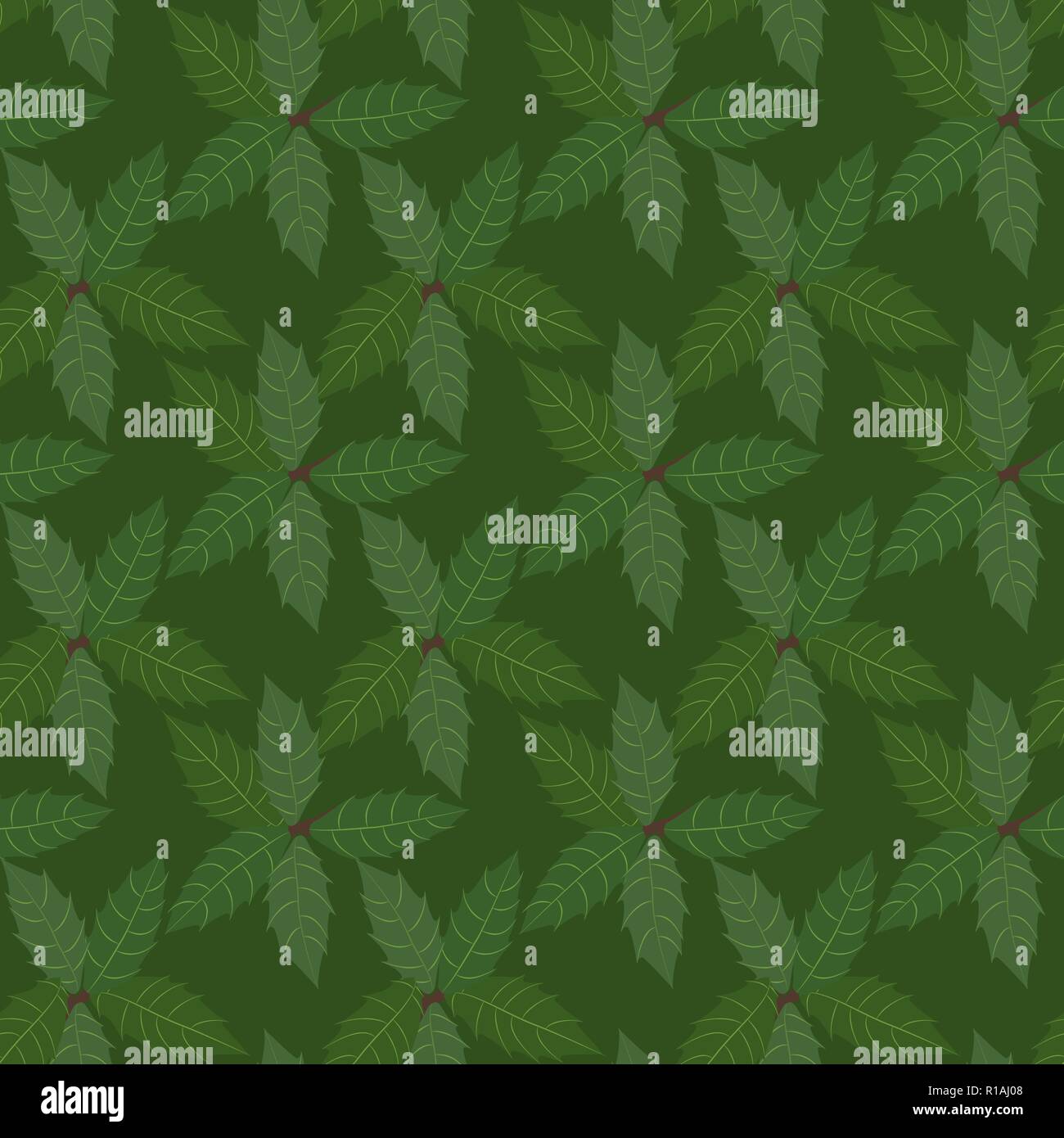 Holly plant berry Stock Vector Images - Alamy