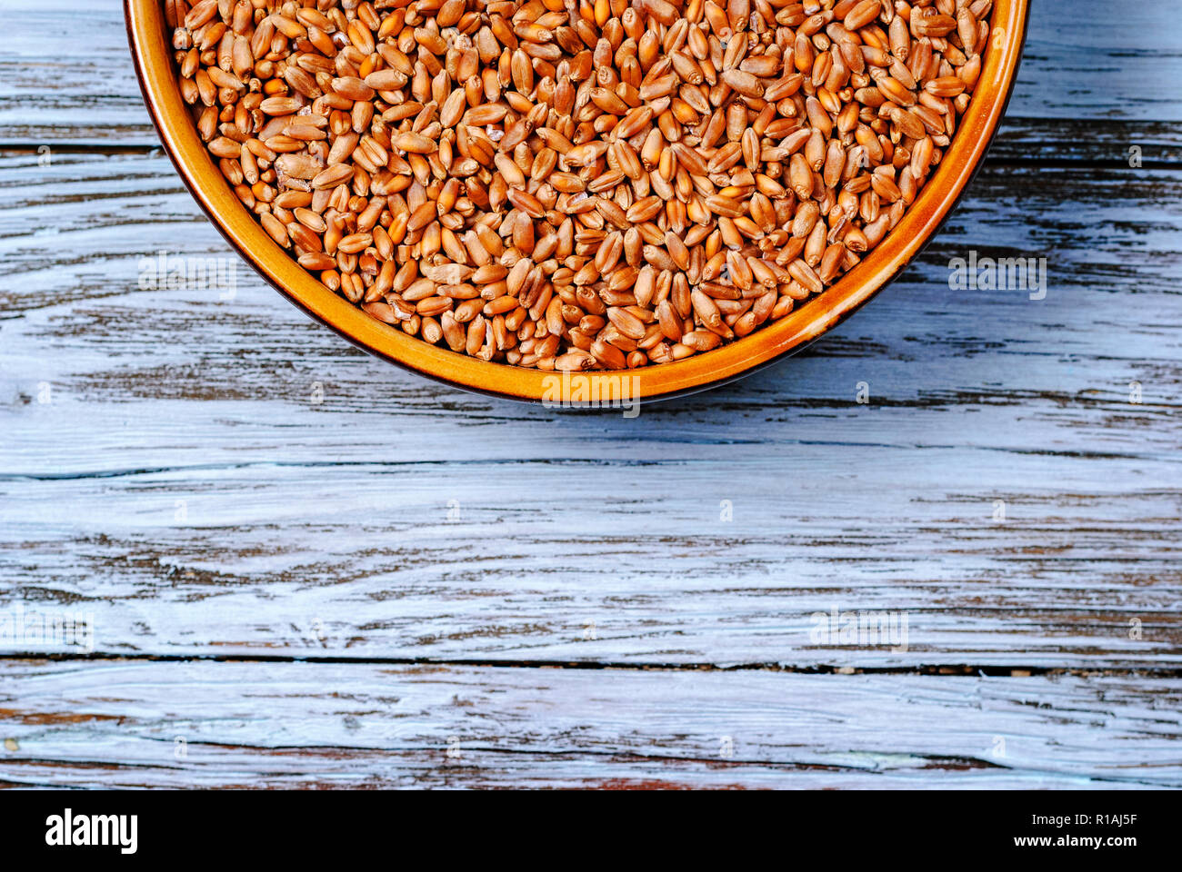 Wheat grain in a bowl on a blue table, top view Stock Photo - Alamy