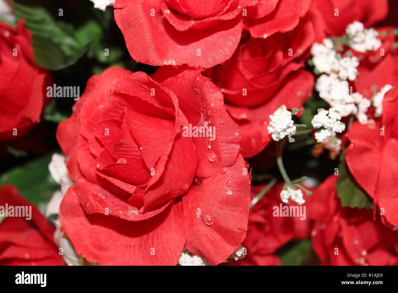 Romatic flower hi-res stock photography and images - Alamy
