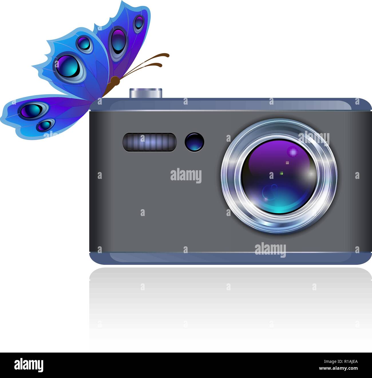 Beautiful butterfly photo Stock Vector Images - Alamy