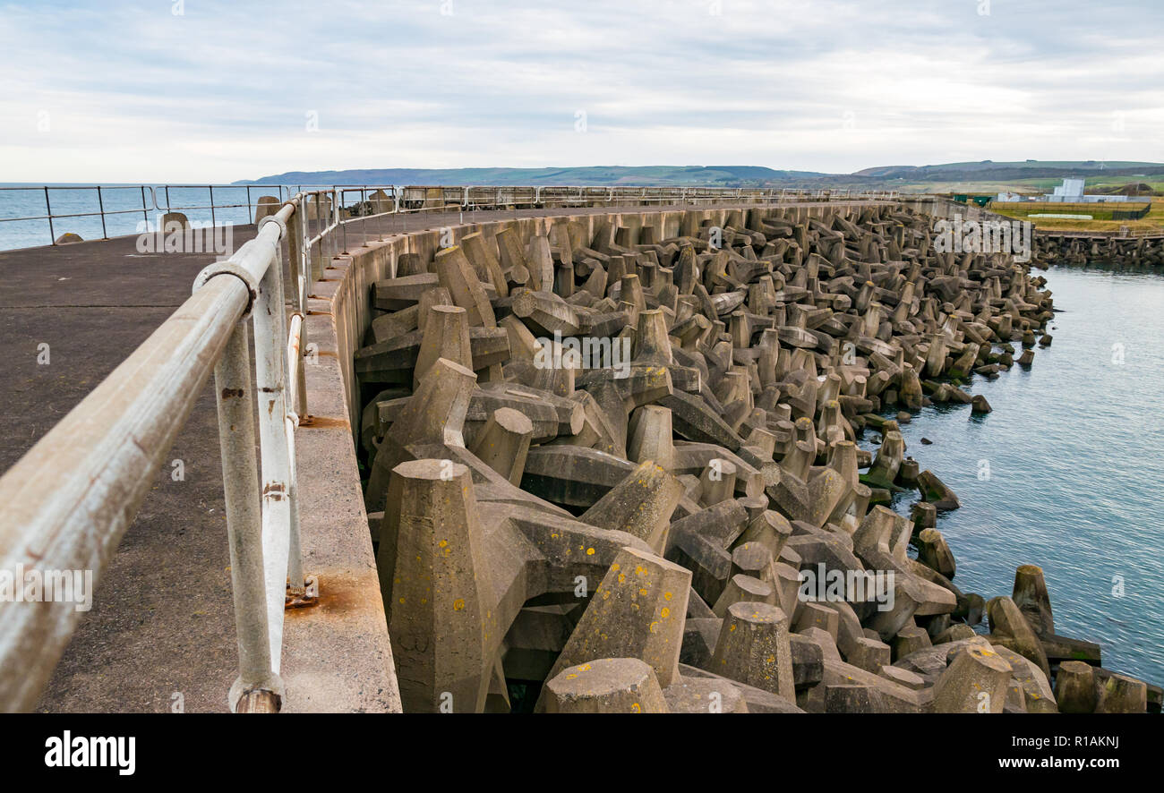 Concrete dolos sea defence barrier, Torness nuclear power station, East ...