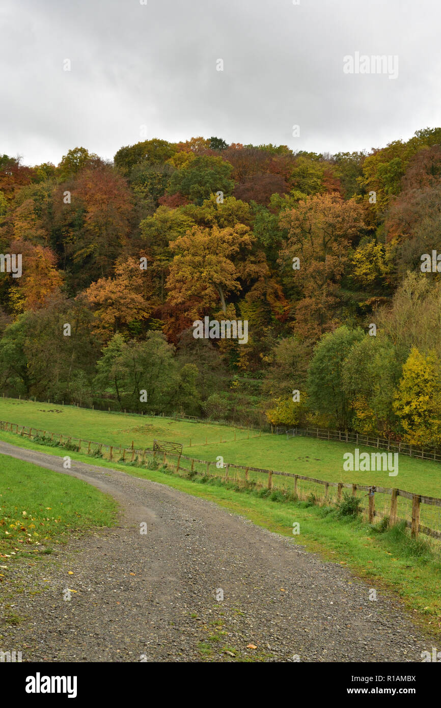 England autumn colours hi-res stock photography and images - Alamy