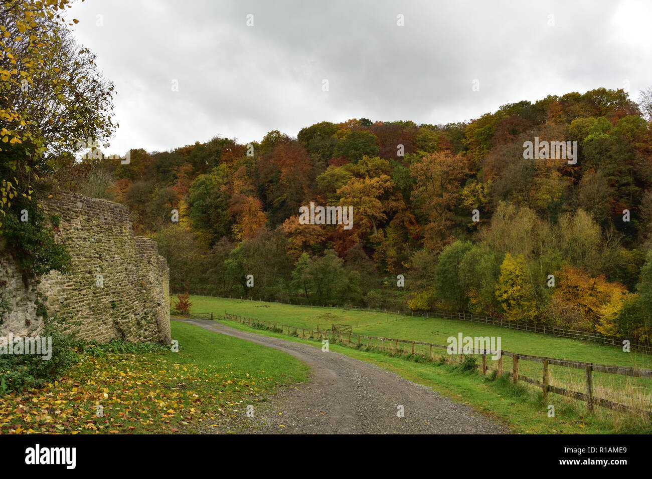 England autumn colours hi-res stock photography and images - Alamy