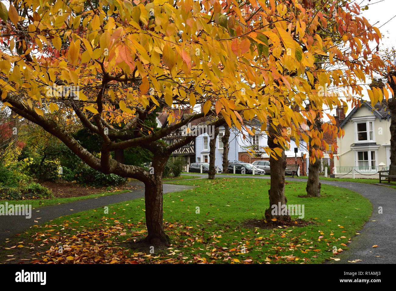 England autumn colours hi-res stock photography and images - Alamy