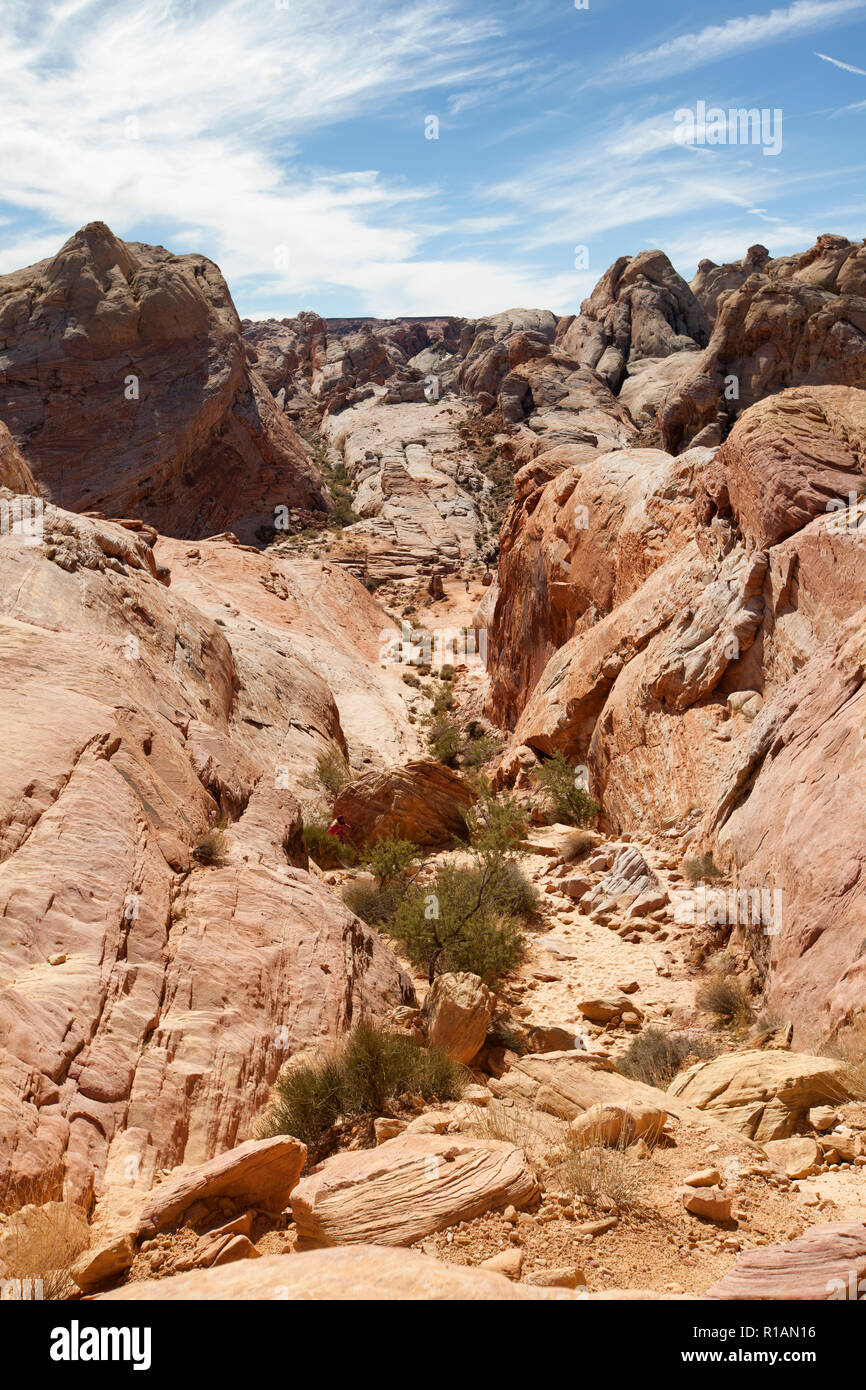 White Domes trail in valley of fire is a rugged desert trail Stock ...