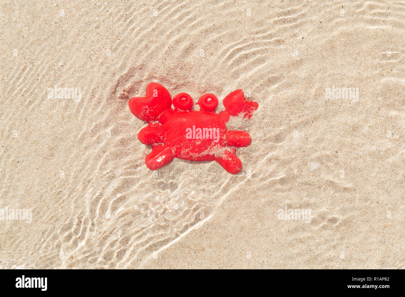 Crab under the sea hi-res stock photography and images - Alamy