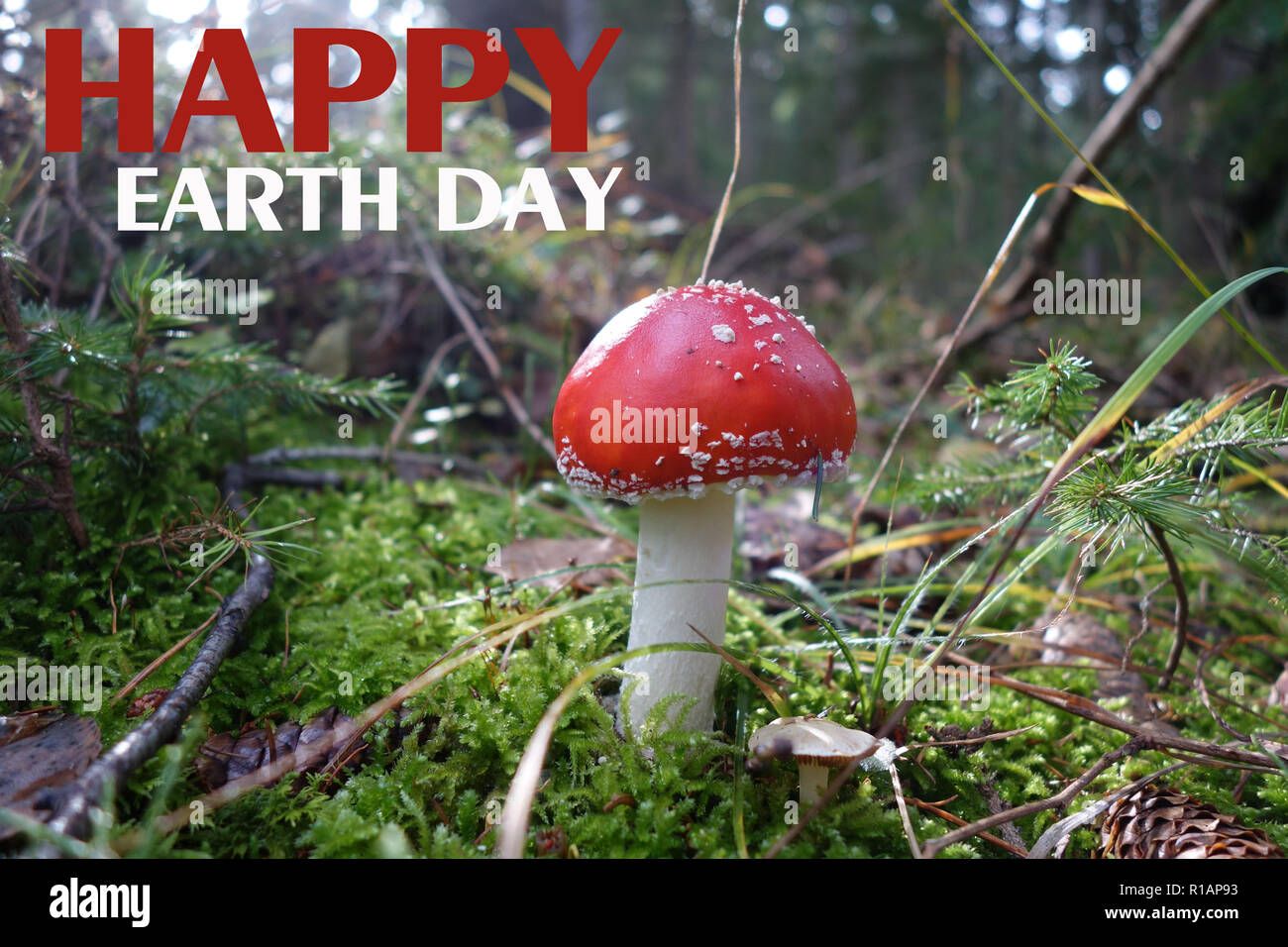 Happy earth day hi-res stock photography and images - Alamy