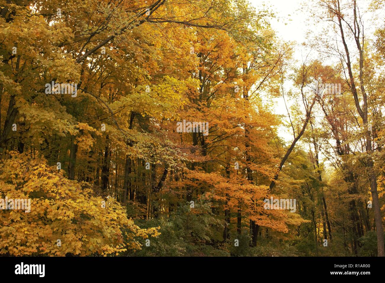 Northern indiana hi-res stock photography and images - Alamy