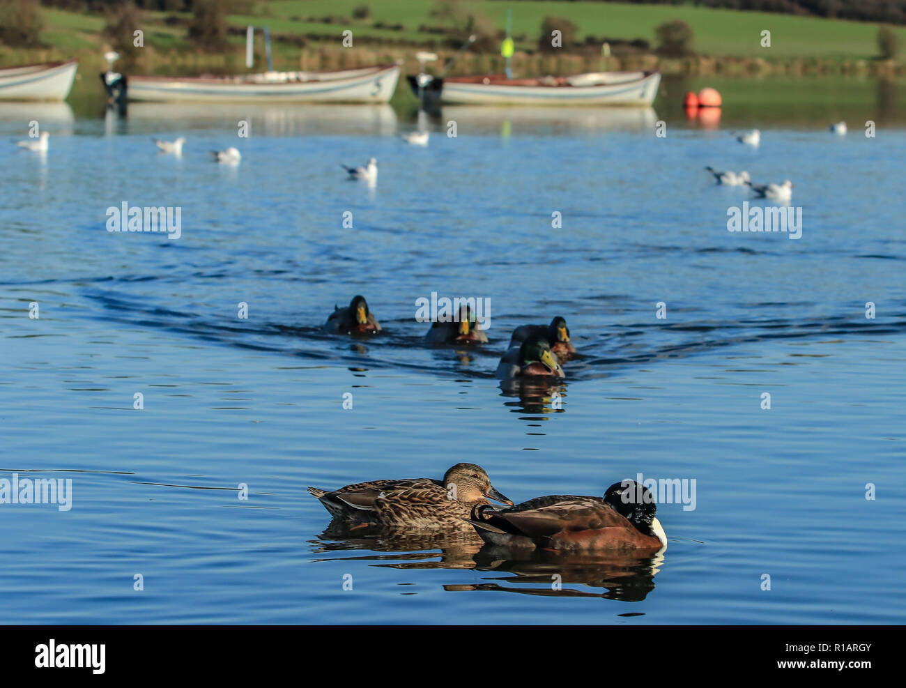 Dundrum bridge hi-res stock photography and images - Alamy