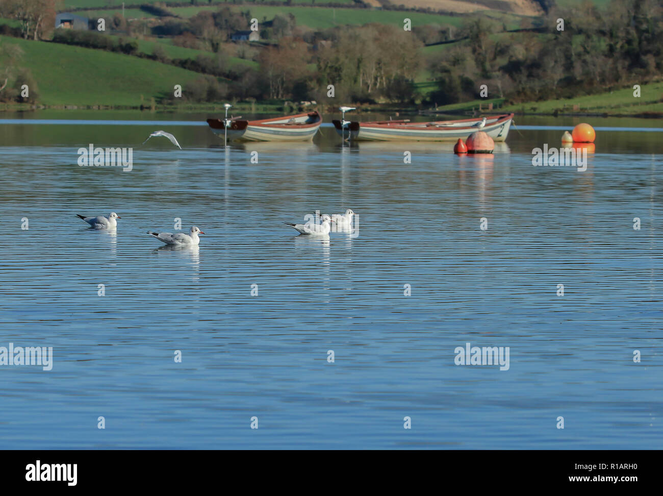 Dundrum bridge hi-res stock photography and images - Alamy
