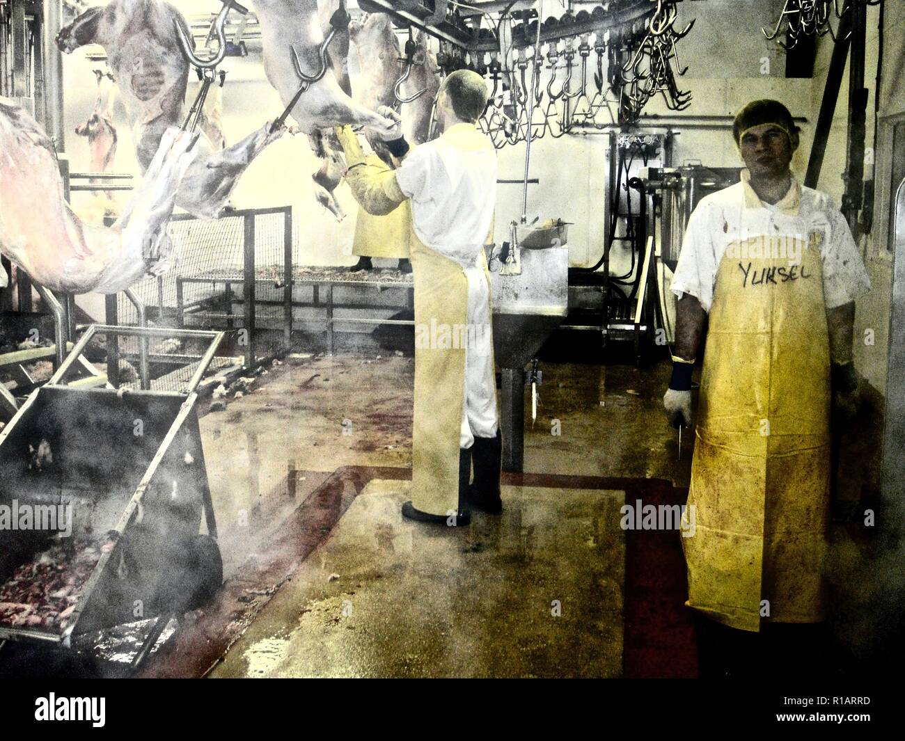 Abattoir Uk Stock Photos & Abattoir Uk Stock Images - Alamy