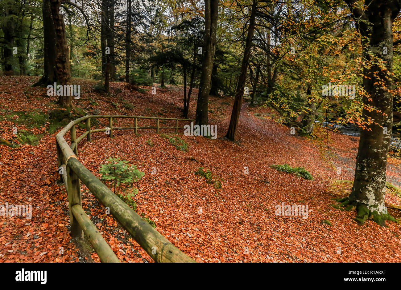 Dundrum bridge hi-res stock photography and images - Alamy