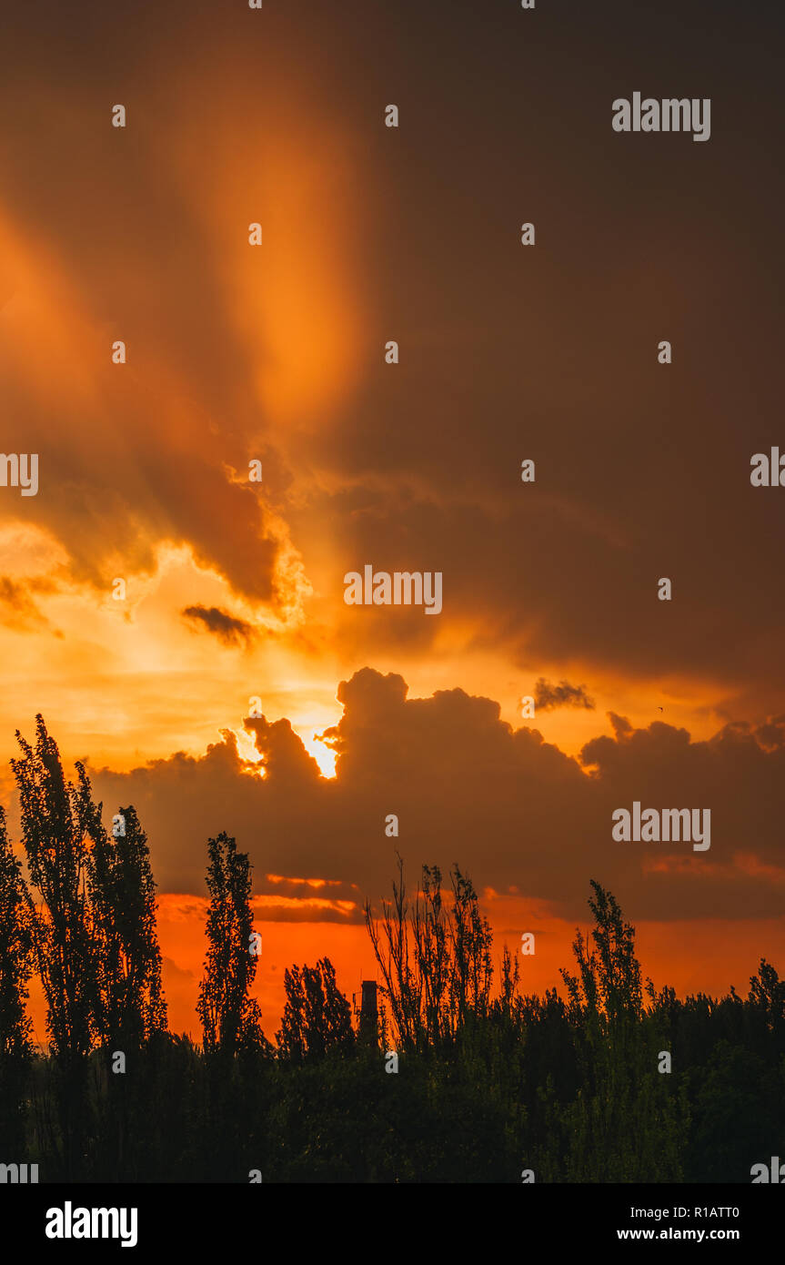 Landscape with dramatic light - beautiful golden sunset with saturated ...
