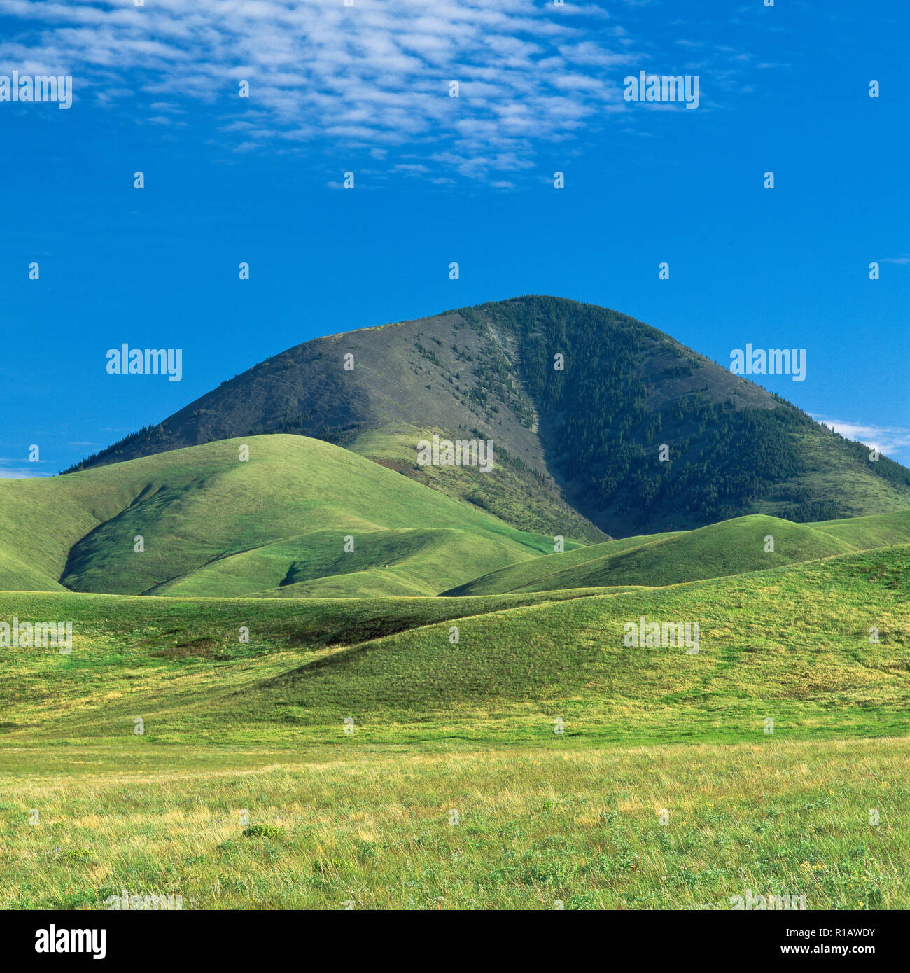 Sweetgrass Hills Stock Photos & Sweetgrass Hills Stock Images - Alamy