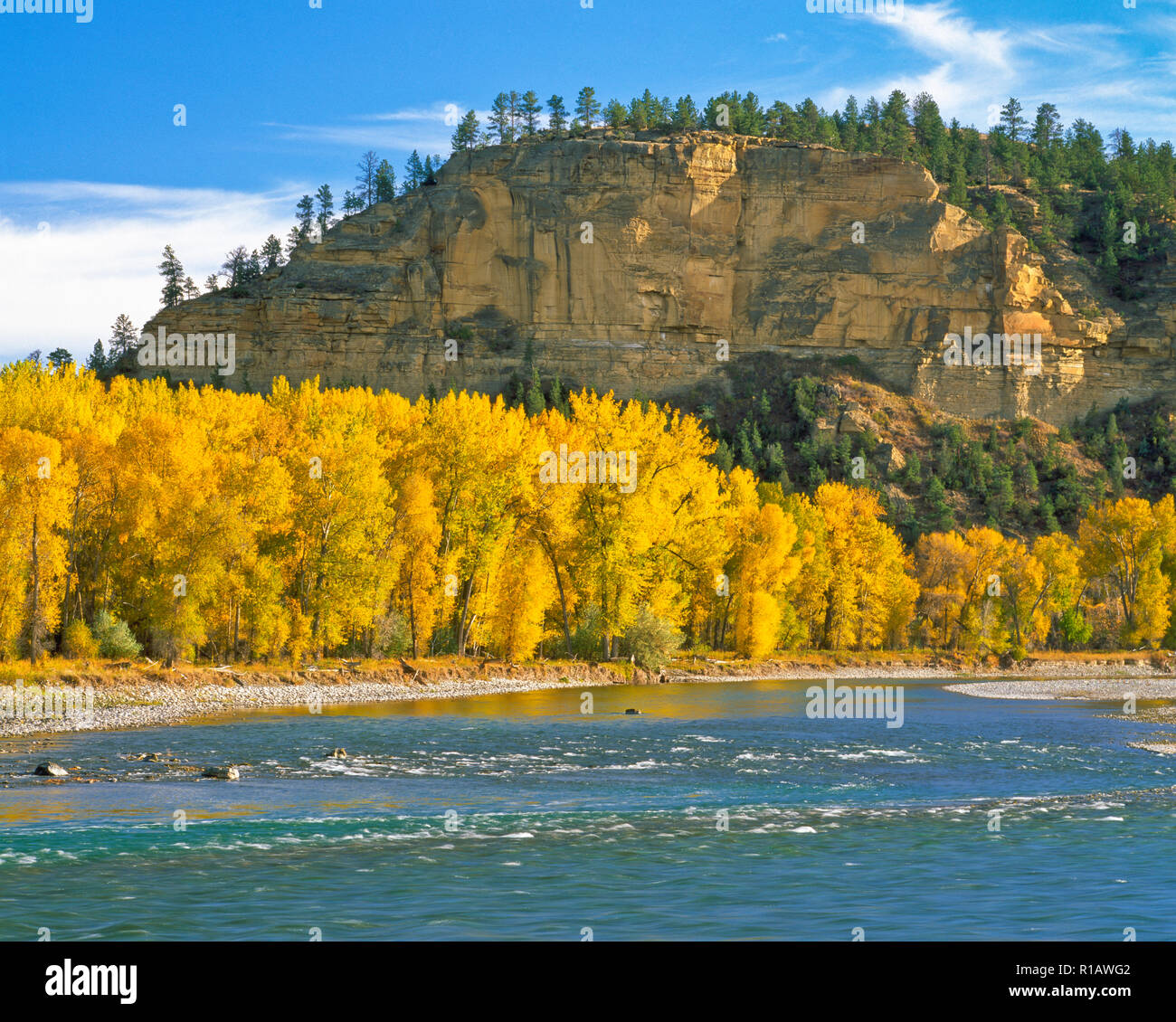 fall colors and cliffs along the yellowstone river near park city ...