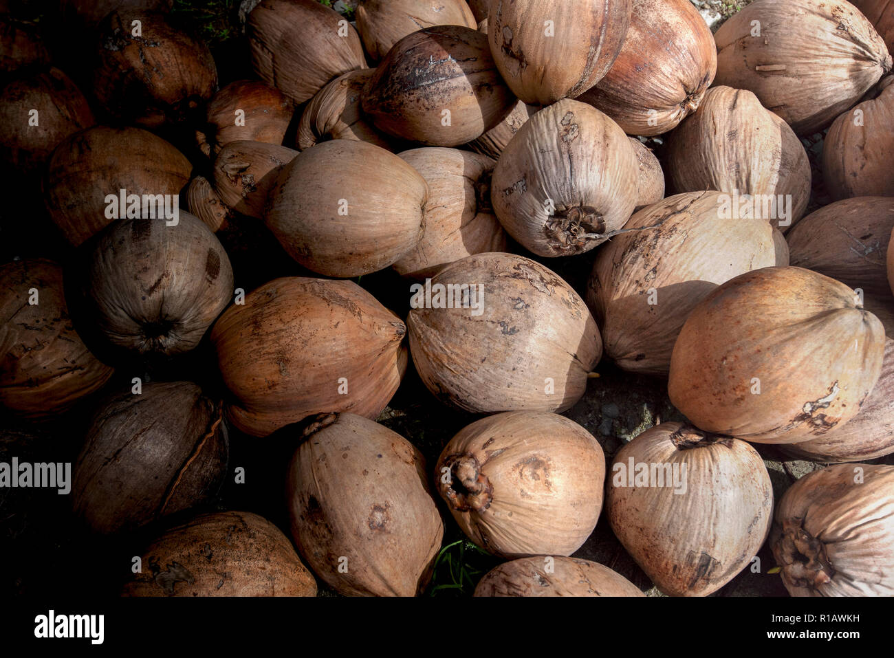 old coconuts background Stock Photo - Alamy