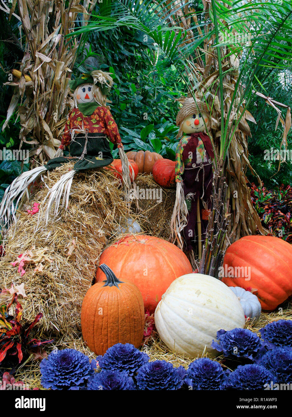 Indian scarecrow hi-res stock photography and images - Alamy