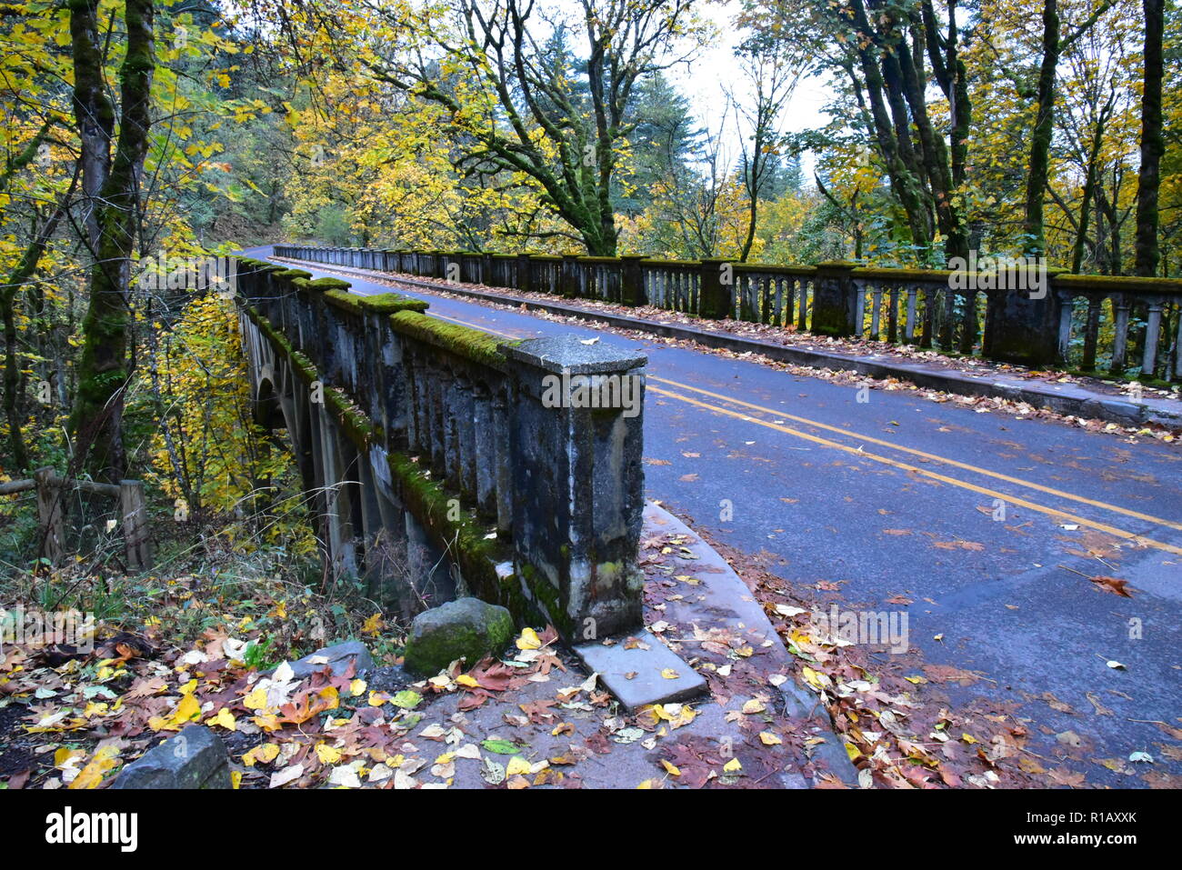 Moss covered bridge hi-res stock photography and images - Alamy