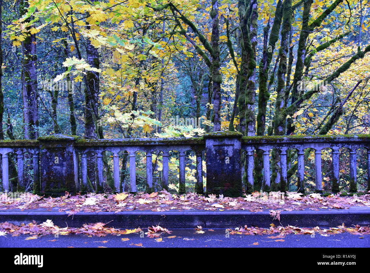 Moss covered bridge hi-res stock photography and images - Alamy