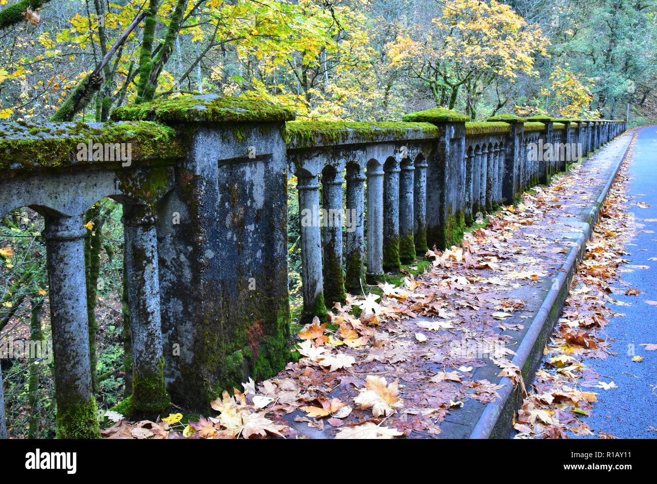 Moss covered bridge hi-res stock photography and images - Alamy