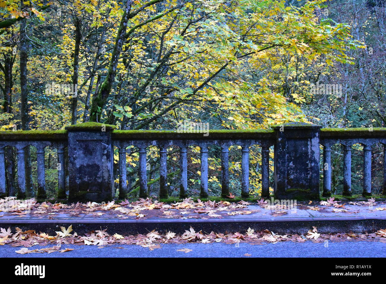 Moss covered bridge hi-res stock photography and images - Alamy