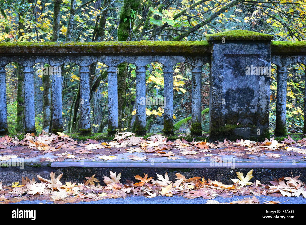 Moss covered bridge hi-res stock photography and images - Alamy