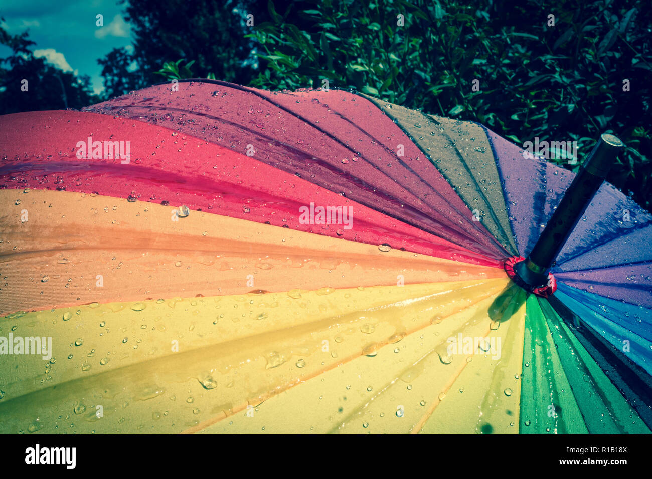Raindrops on a colorful umbrella with all the colors of the rainbow ...