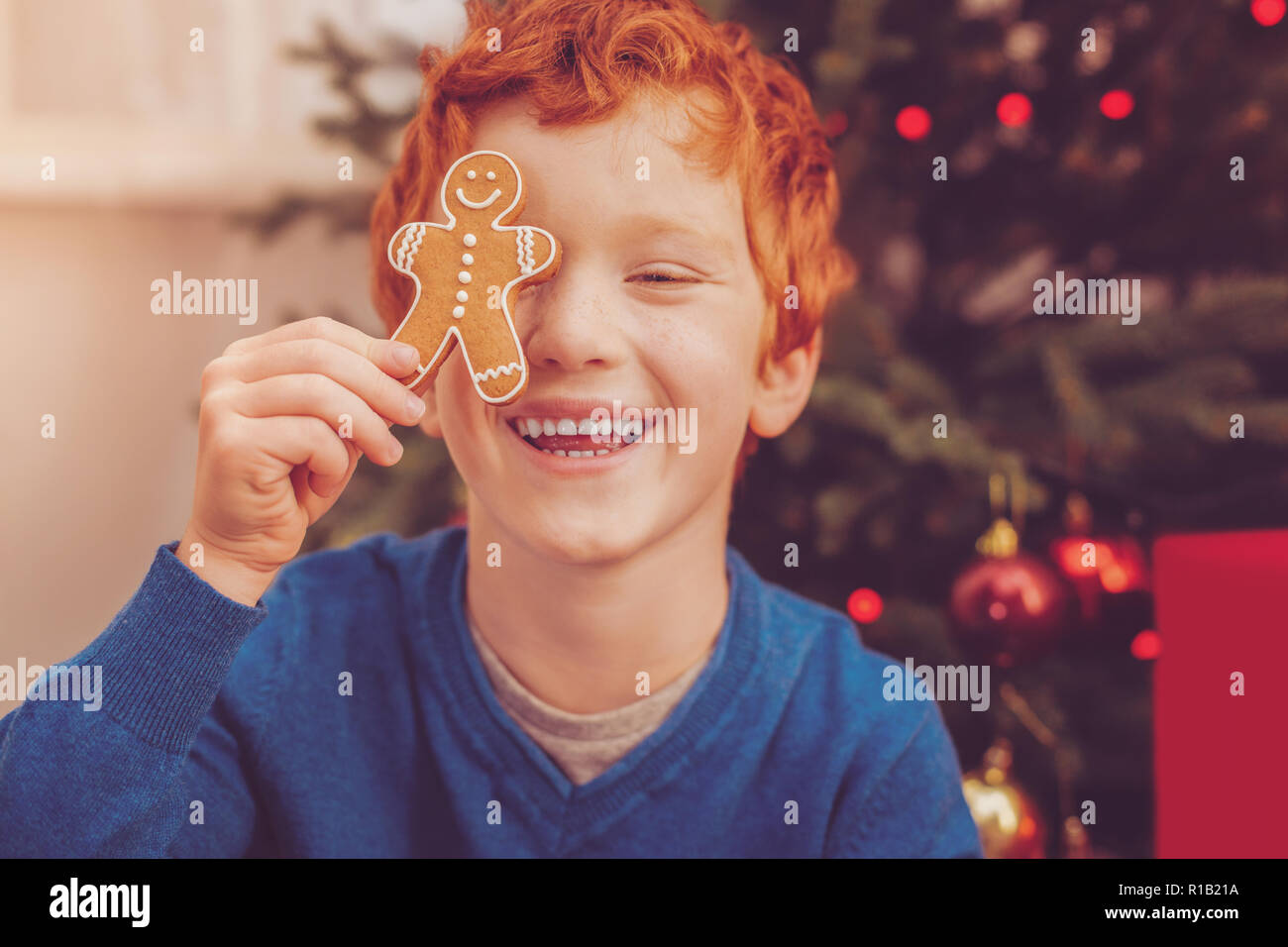 Cheerful boy covering his eye with a gingerbread man Stock Photo - Alamy