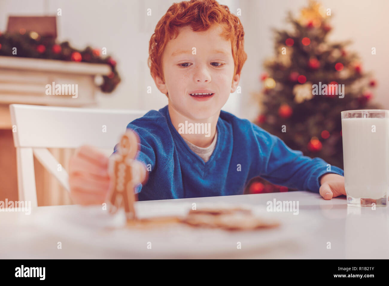 Charming gingerbread man cookie hi-res stock photography and images - Alamy