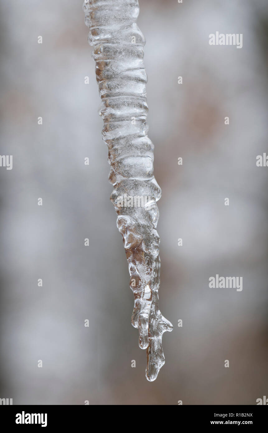 Icicles dripping hi-res stock photography and images - Alamy