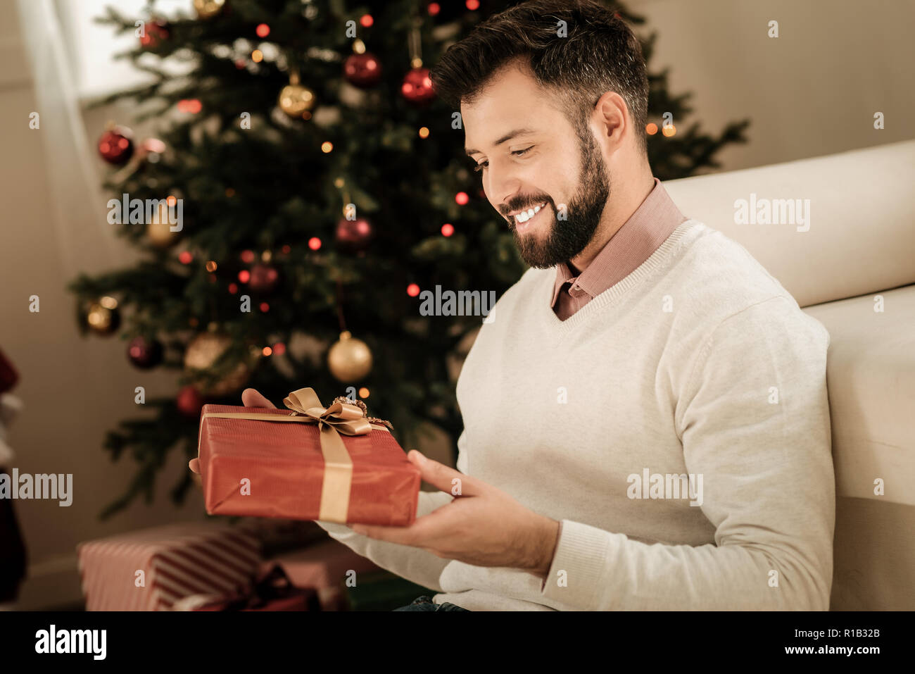 Close up man looking tree hi-res stock photography and images - Alamy
