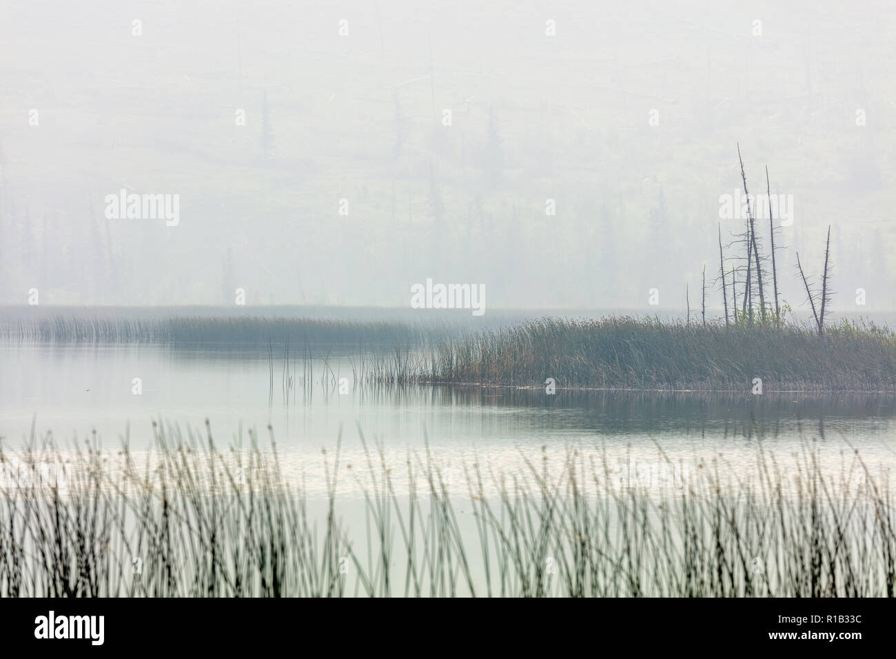 Talbot lake in jasper national park hi-res stock photography and images ...