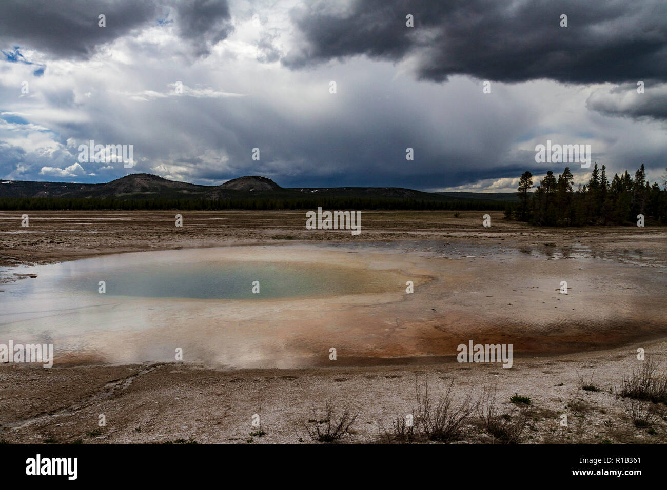 Hot springs inside Yellowstone National Park USA Stock Photo - Alamy