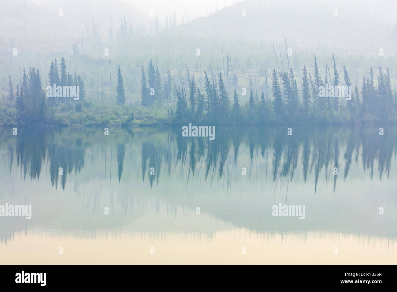 Talbot lake alberta canada hi-res stock photography and images - Alamy