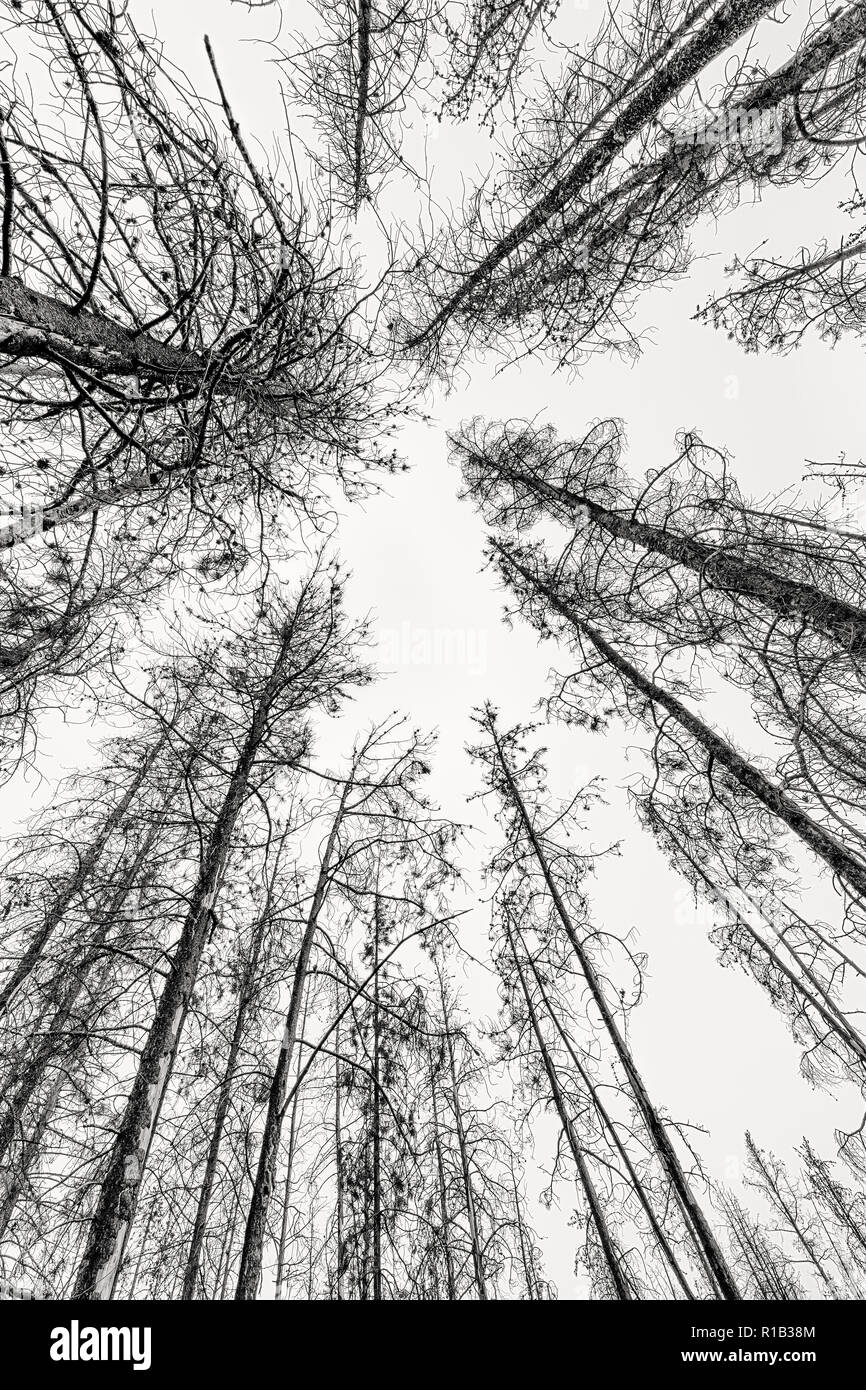 Jasper fire hi-res stock photography and images - Alamy