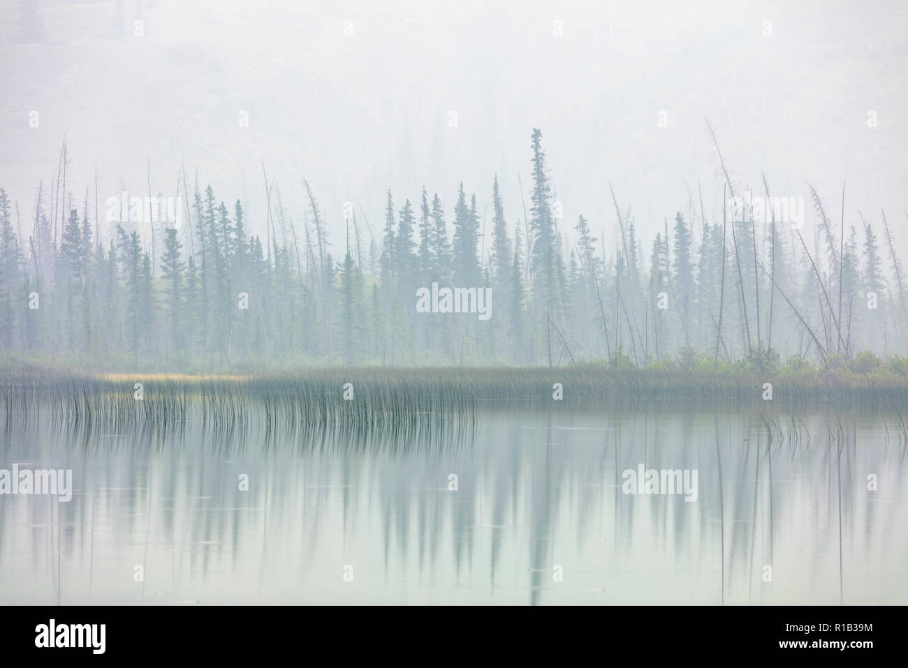 Talbot Lake in Jasper National Park, Alberta Canada Stock Photo - Alamy