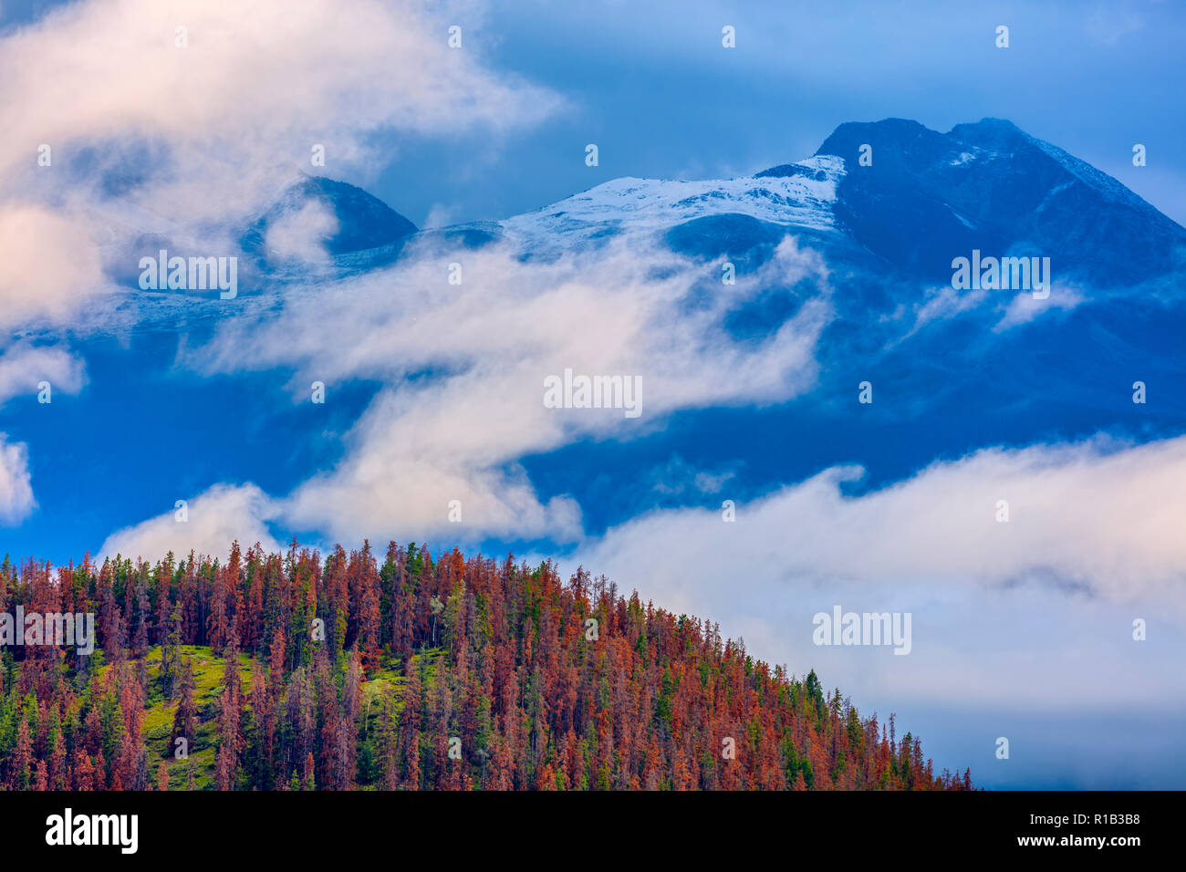 Jasper National Park, Alberta Canada Stock Photo - Alamy
