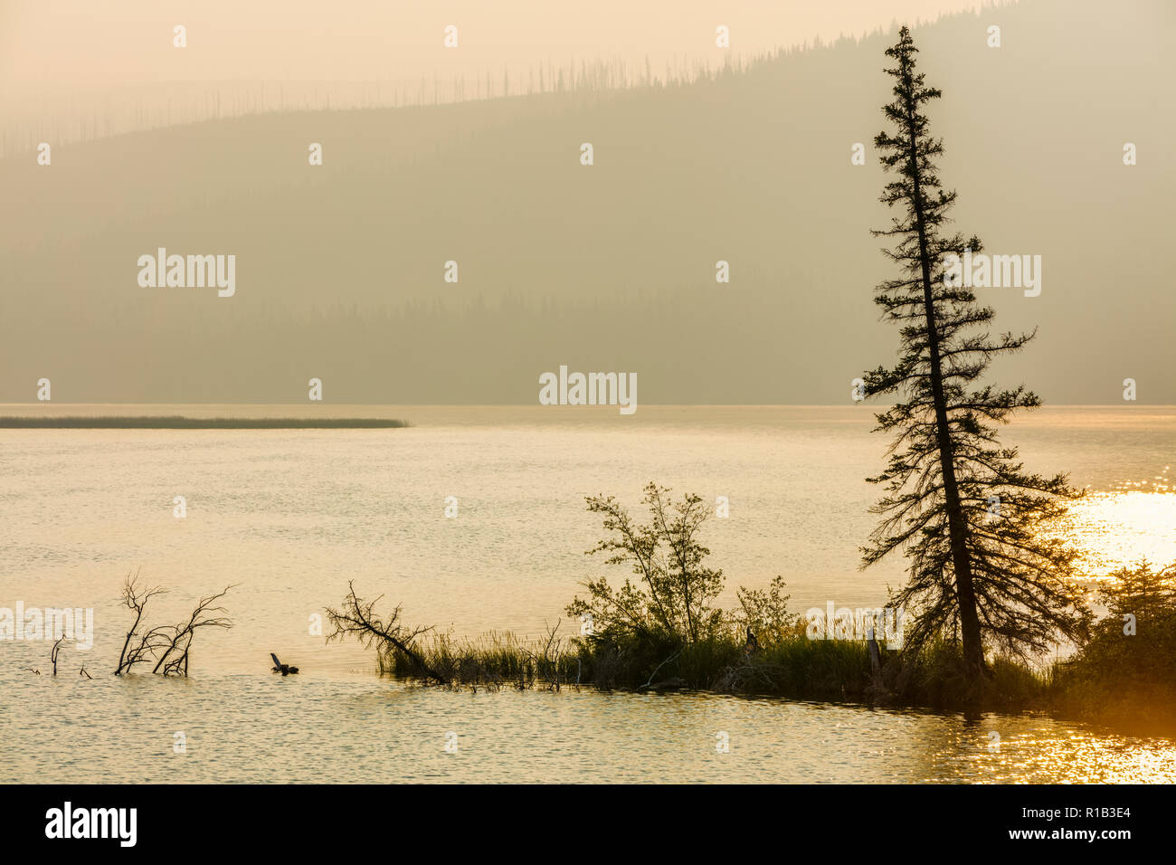 Talbot Lake in Jasper National Park, Alberta Canada Stock Photo - Alamy