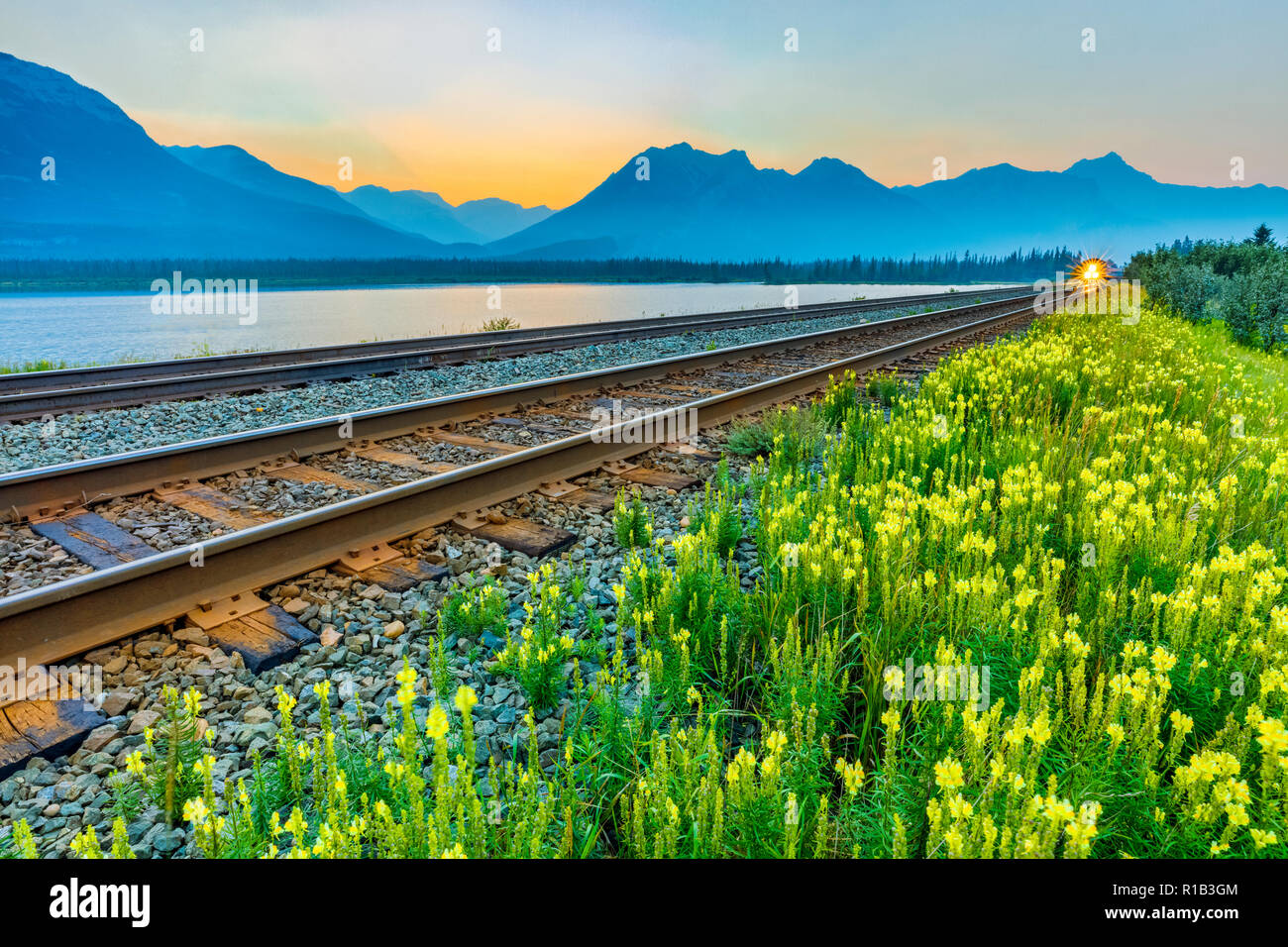 Jasper national park train hi-res stock photography and images - Alamy