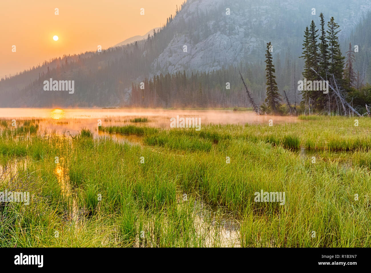 Edna park hi-res stock photography and images - Alamy