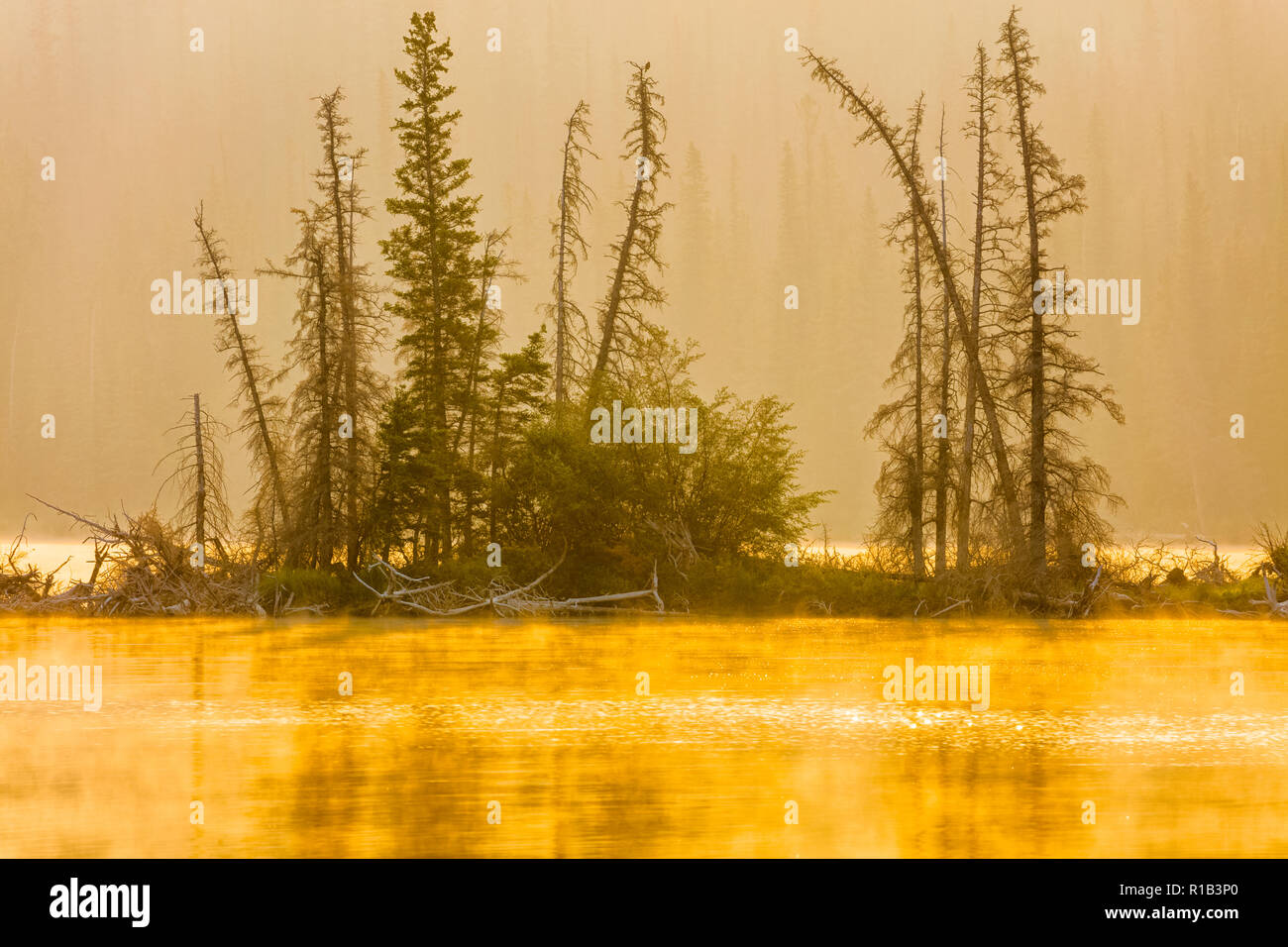 Edna Lake in Jasper National Park, Alberta Canada Stock Photo - Alamy