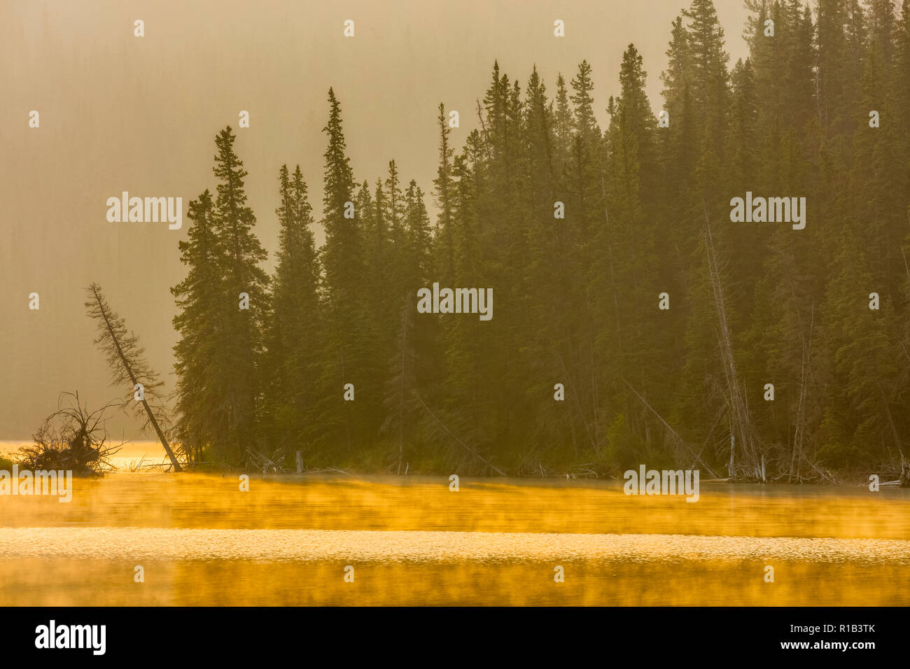 Edna Lake in Jasper National Park, Alberta Canada Stock Photo - Alamy