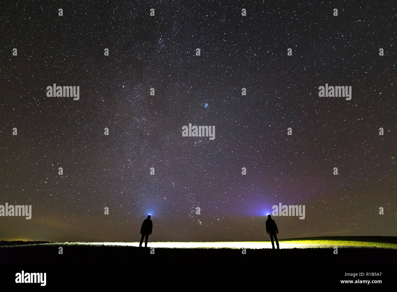 Back view of two men with head flashlights on green grassy field under ...