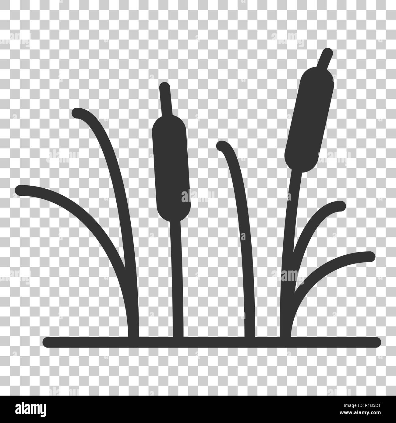 On bulrush Stock Vector Images - Alamy
