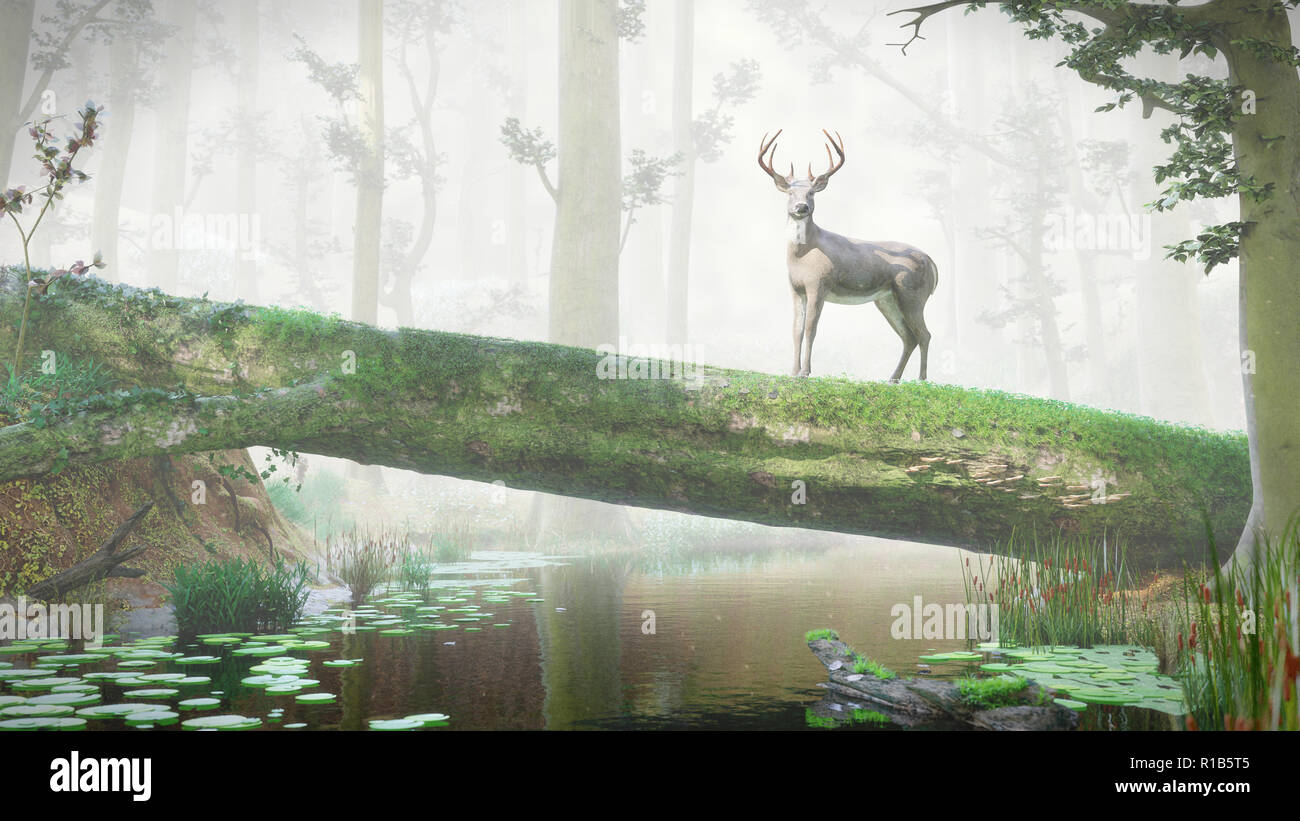 Dark forest trees deer hi-res stock photography and images - Alamy