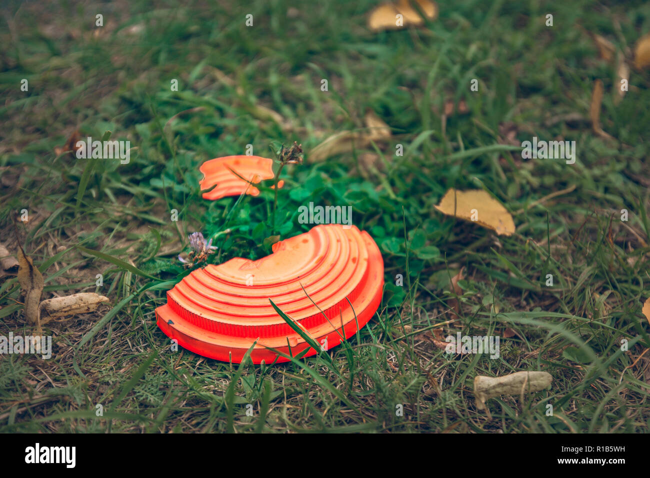 broken orange flying plate lying on the grass Stock Photo - Alamy